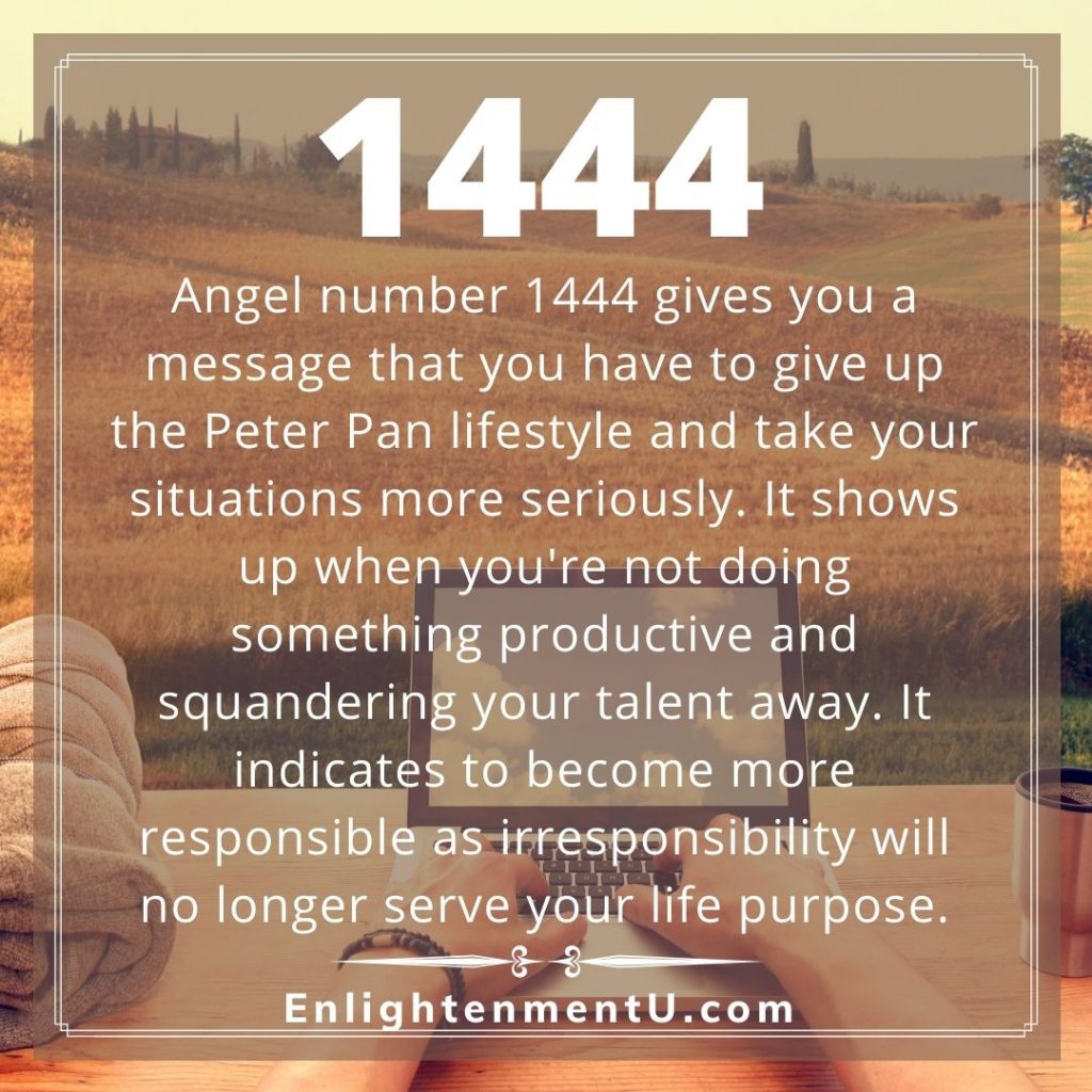 1444 Angel Number The Grasshopper Story Seeing 1444 Meaning