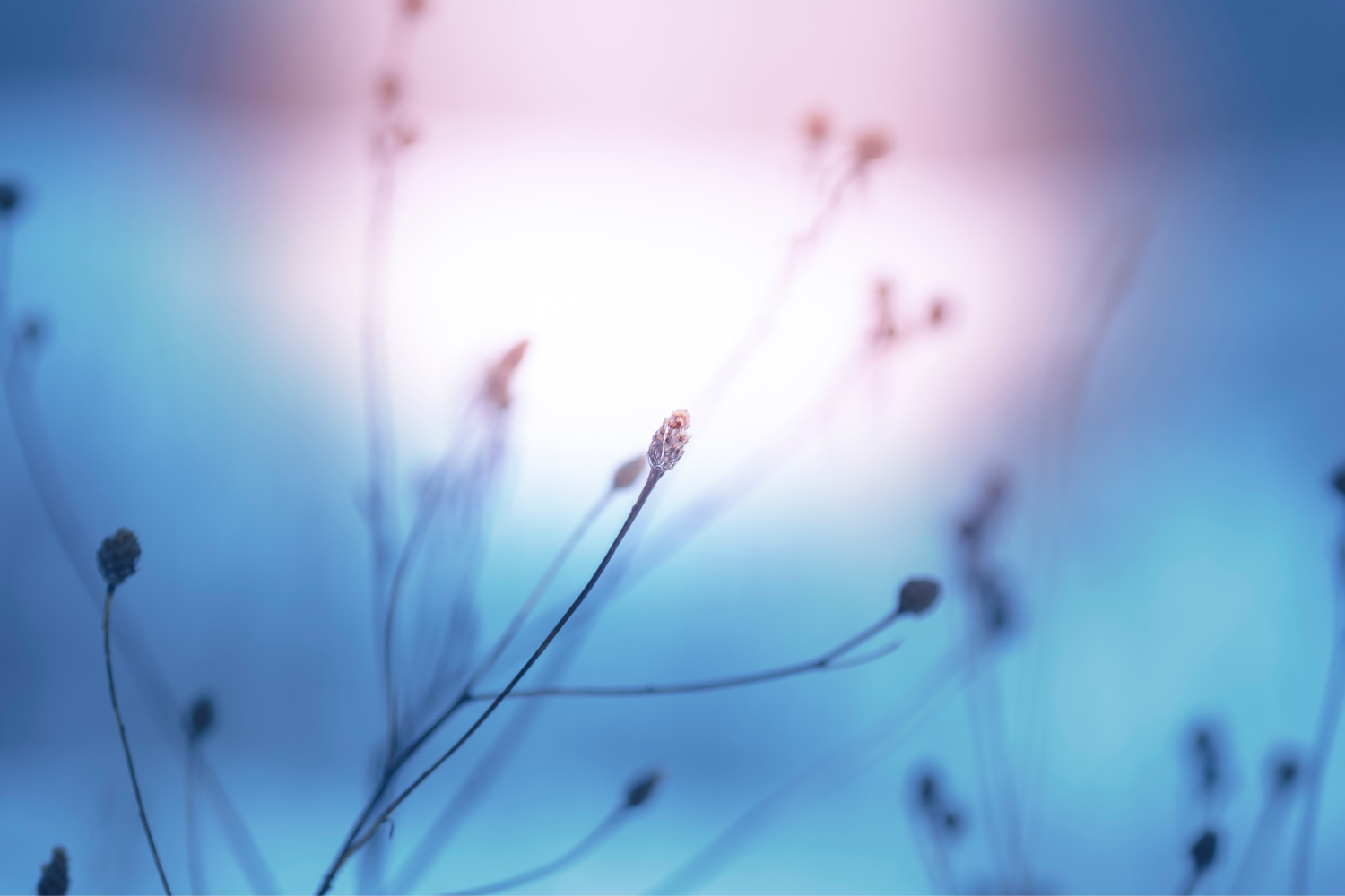 945 Angel Number – Illuminate Your Path | Seeing 945 Meaning