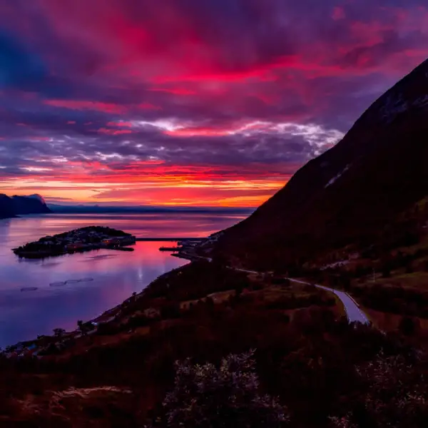 841 Angel Number – Embrace The Power | Seeing 841 Meaning