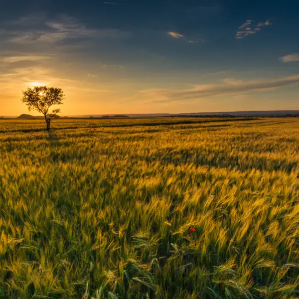 841 Angel Number – Embrace The Power | Seeing 841 Meaning