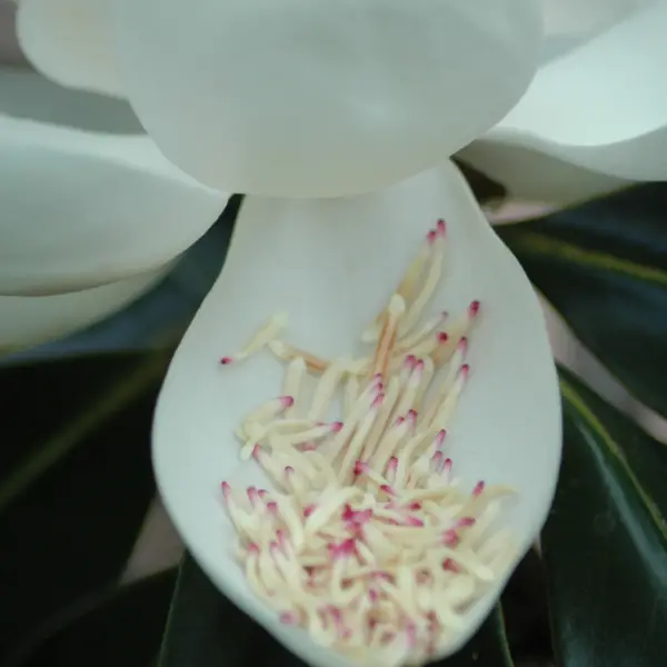 1018 Angel Number – A Spiritual Twist On Life | Seeing 1018 Meaning