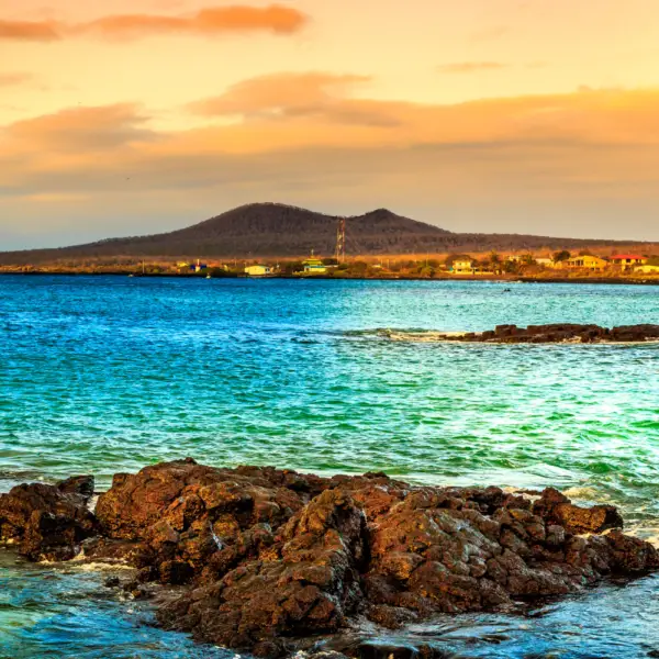 Seeing 160 Angel Number Meaning - Fighting Failure Or Following Fortune ...