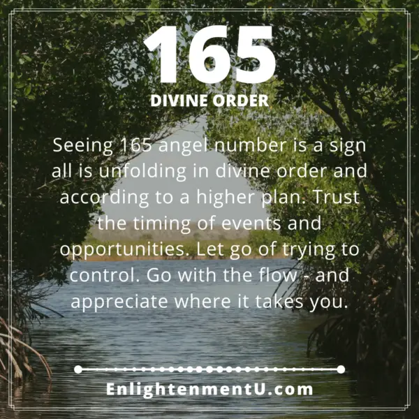 Seeing 165 Angel Number Meaning – Magical Opportunities | Seeing 165 ...