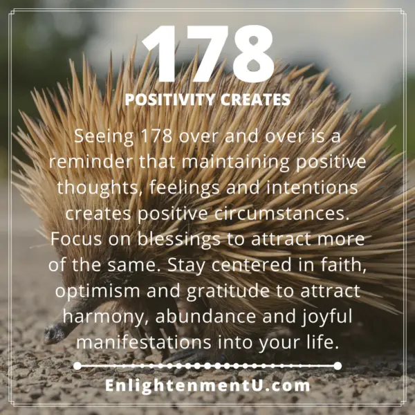 Seeing 178 Angel Number Meaning – Blossoming Optimism | Seeing 178 Meaning