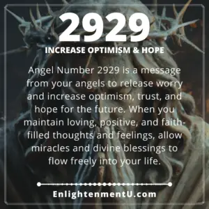 Seeing 2929 Angel Number - Meaning In Love, Life, Money & More